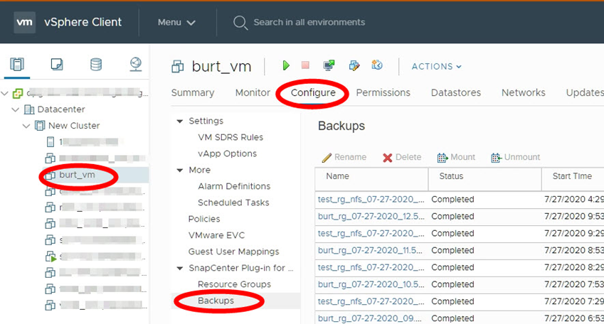 SnapCenter Plug-in for VMware vSphere 4.9